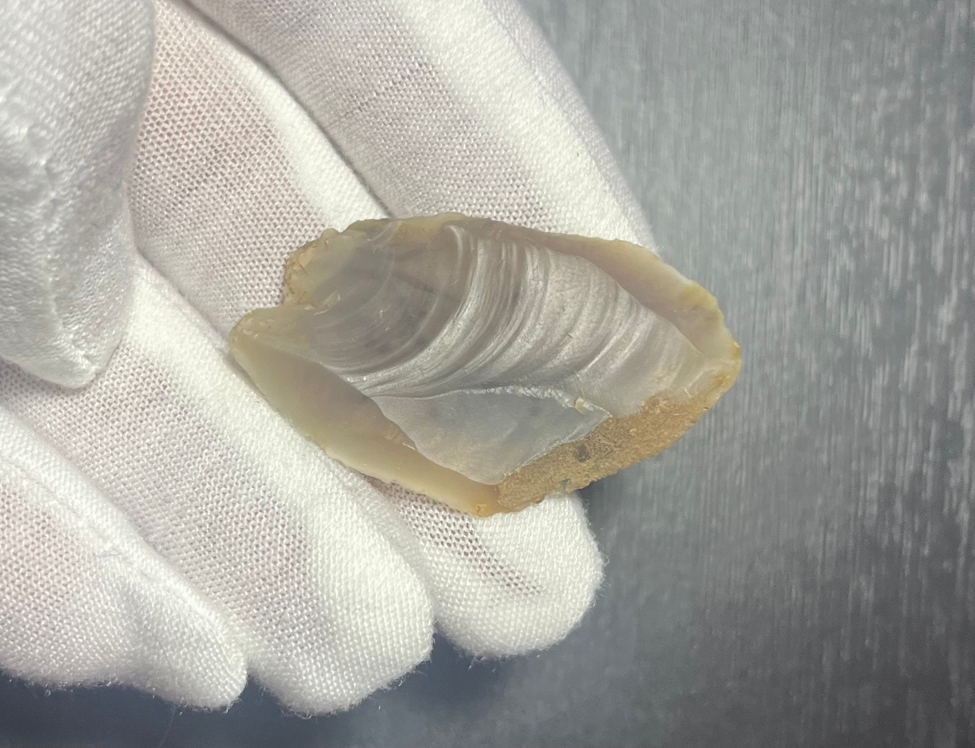 Neolithic Stone Age Flint Scraper Tool 4500-2500 BC, Found in Essex ...