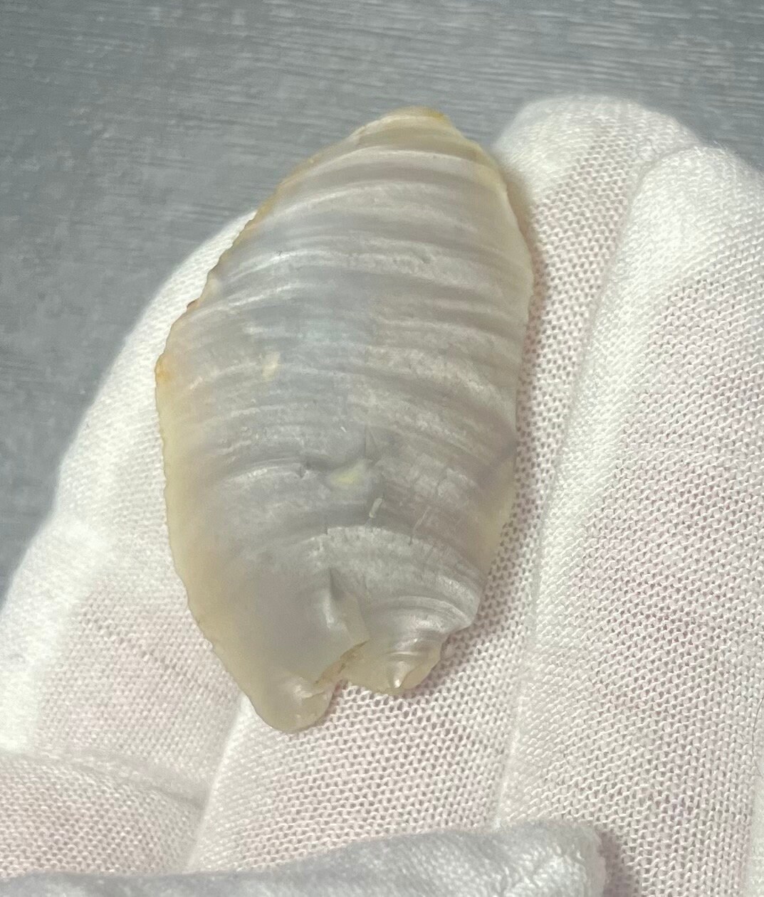 Neolithic Stone Age Flint Scraper Tool 4500-2500 BC, Found in Essex ...