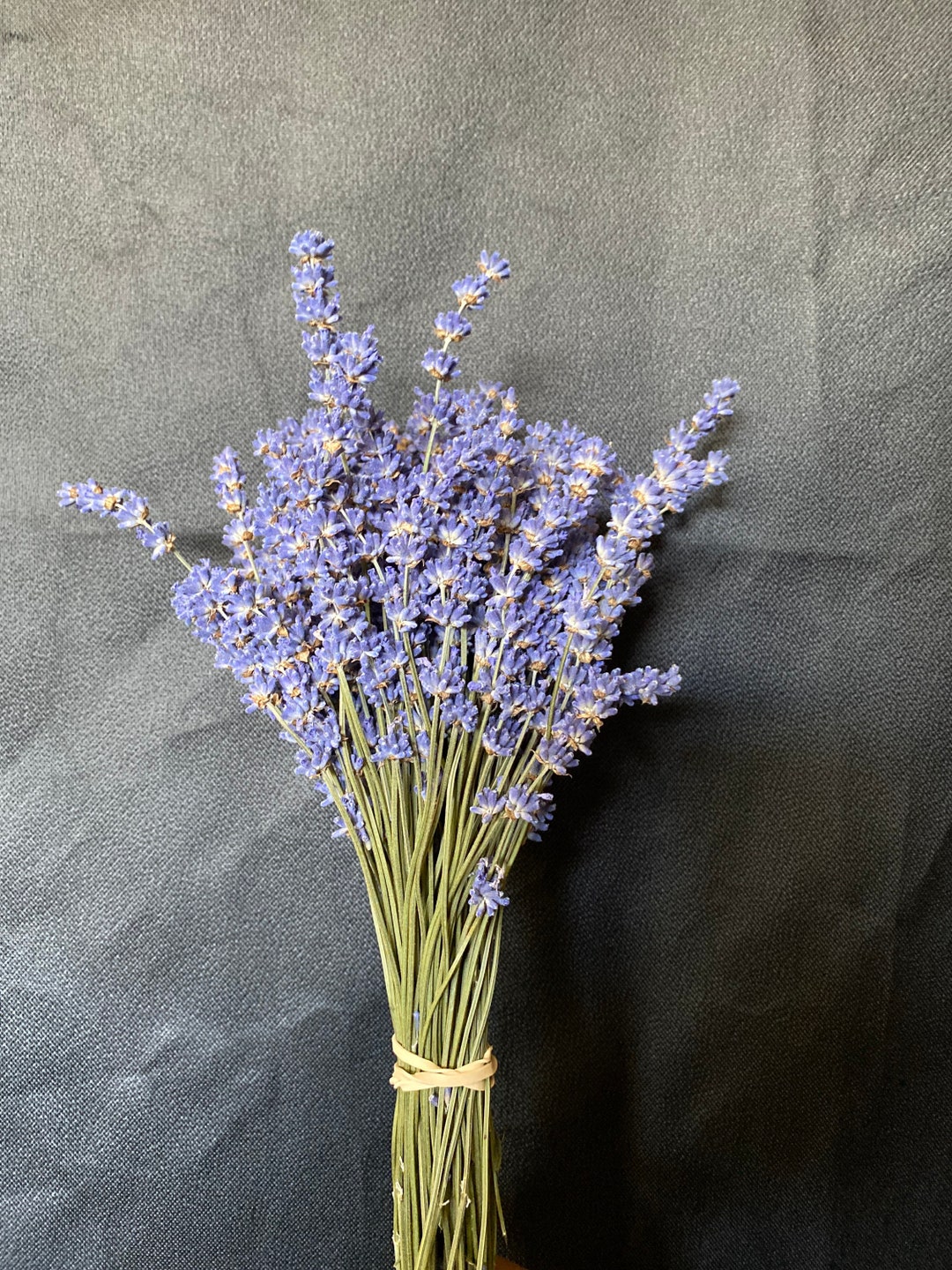 Lavender Bundles (oregon) - Etsy