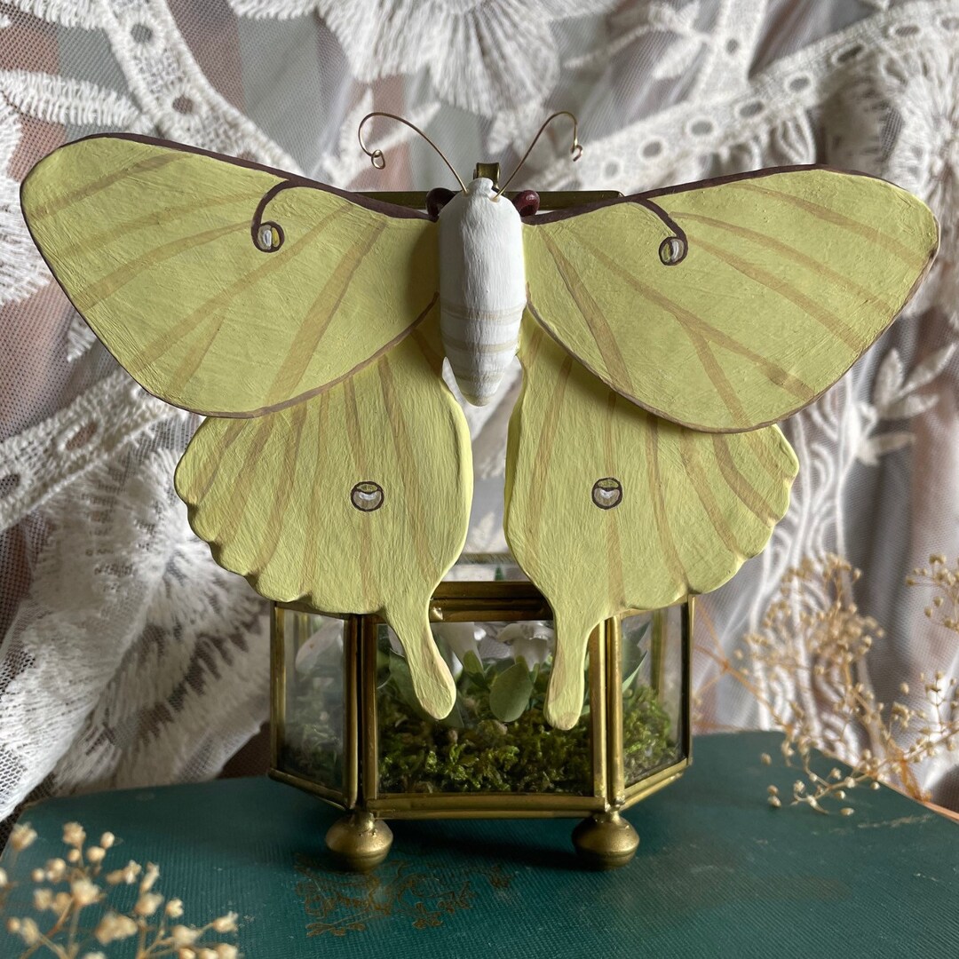 Luna Moth Diorama Antique Trinket Box Glass Terrarium Handmade Clay ...