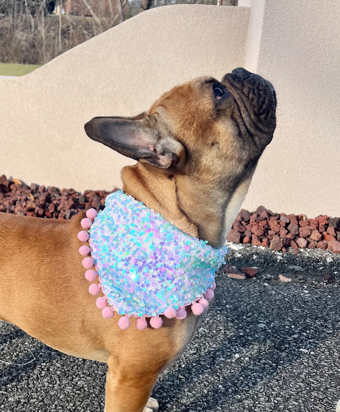 Reversible Sequin Sparkle Iridescent Pink Purple Dog Bandana With ...