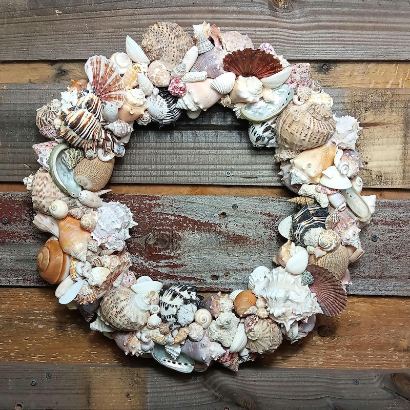 Sea Shell Wreath - Etsy