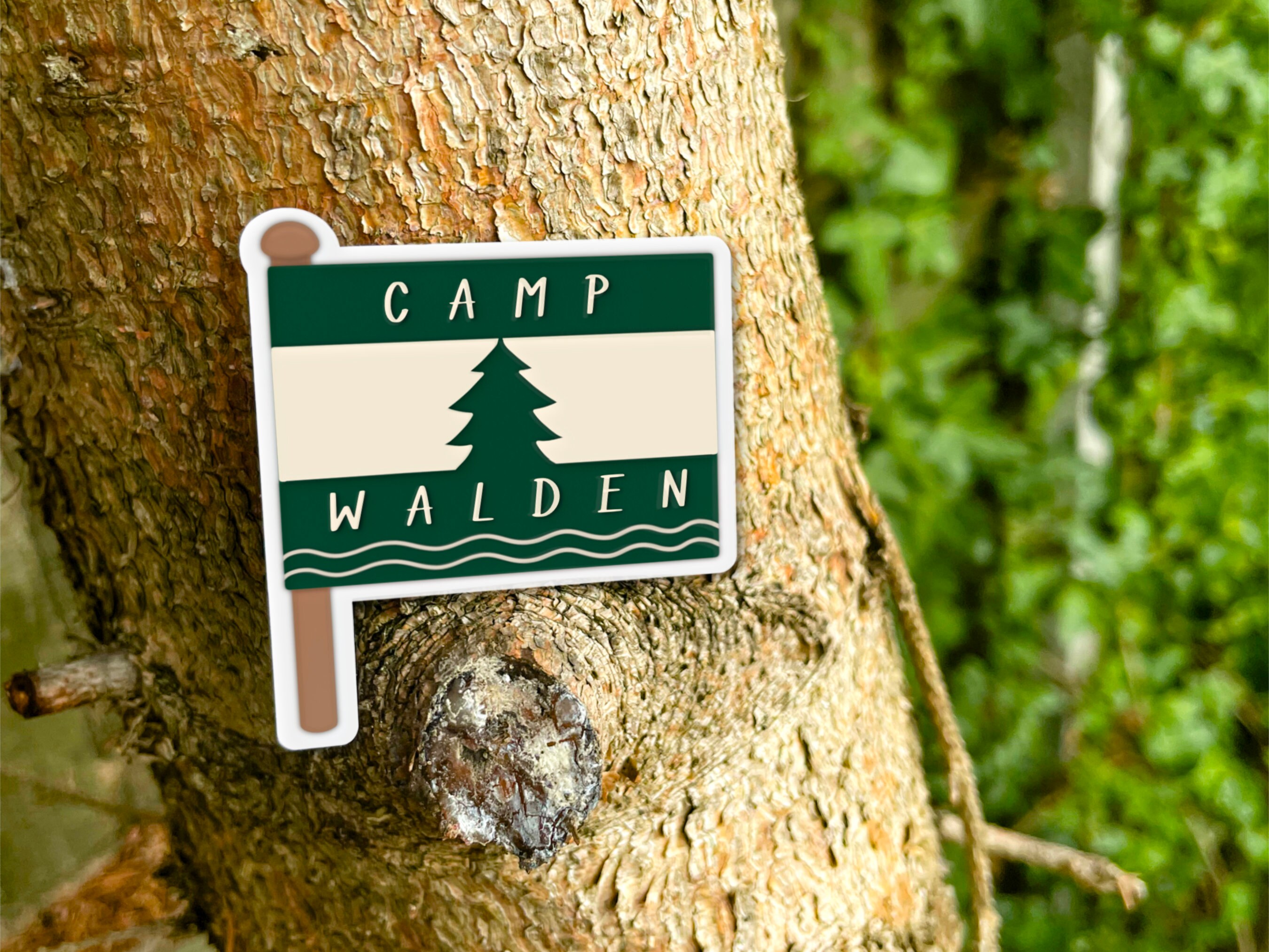 Parent Trap Movie Inspired Camp Walden Flag Vinyl Sticker - Etsy