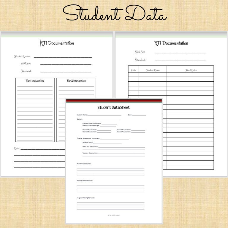 New! Teacher Planner Printable 2020-2021 - Disc Planner - Digital ...