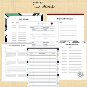 New! Teacher Planner Printable 2020-2021 - Disc Planner - Digital ...