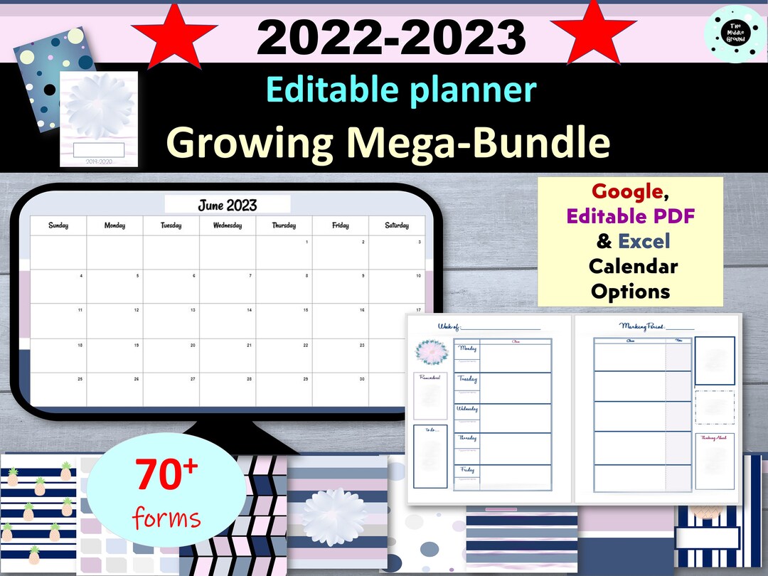 Stylish Teacher Planner 2022-2023 Printable & Digital - Disc Planner ...
