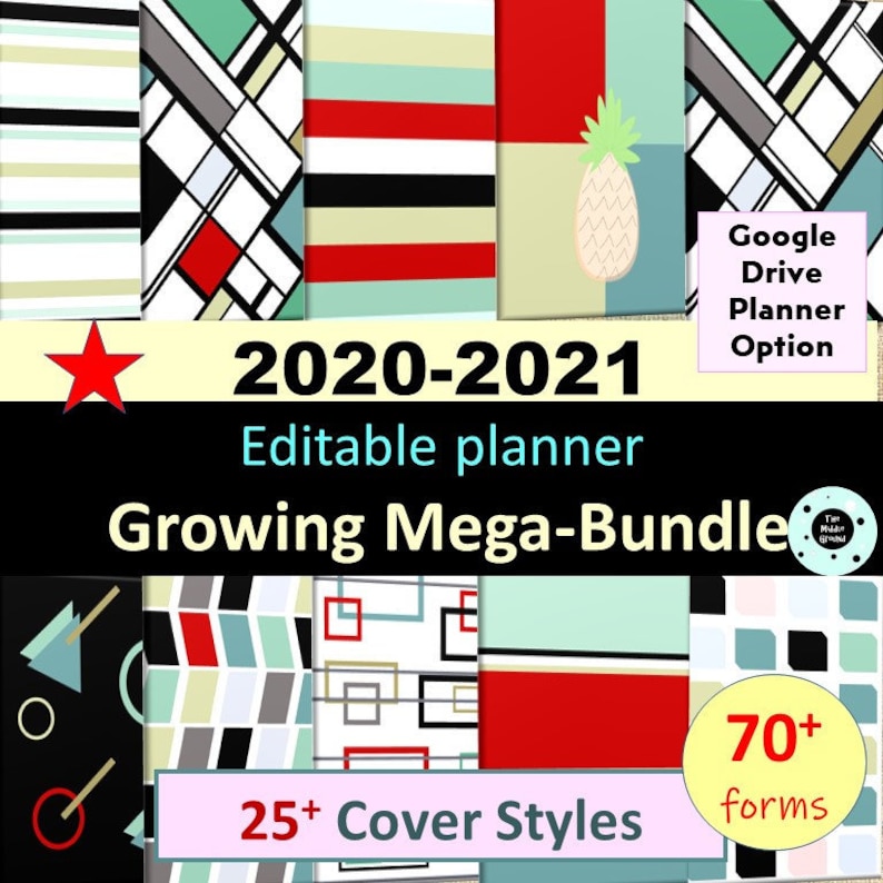 New! Teacher Planner Printable 2020-2021 - Disc Planner - Digital ...