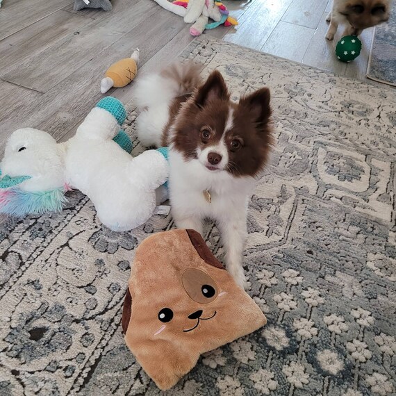 Cute Dog and Puppy Toy Pawpular Pet Toys the Stuffing free Dog Toy With 9 Squeakers Crinkle Layer. Perfect for Pups and Pawesome Gifts Etsy UK