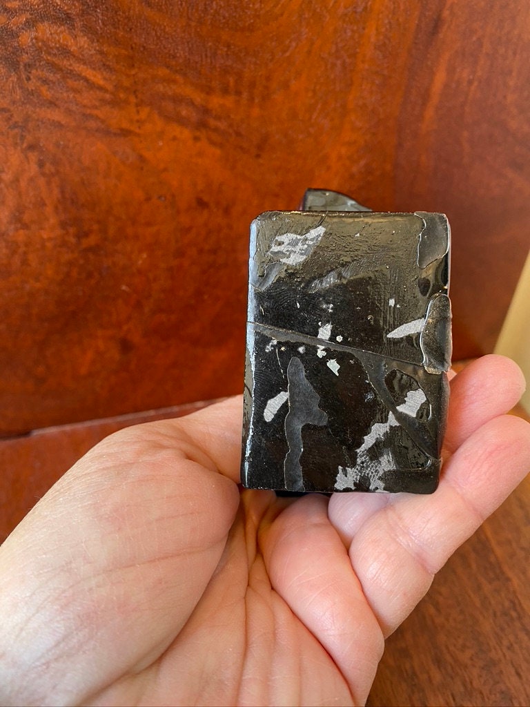 Vintage Mayan Abalone Shell Inlay Face Mask Sculpture FREE - Etsy