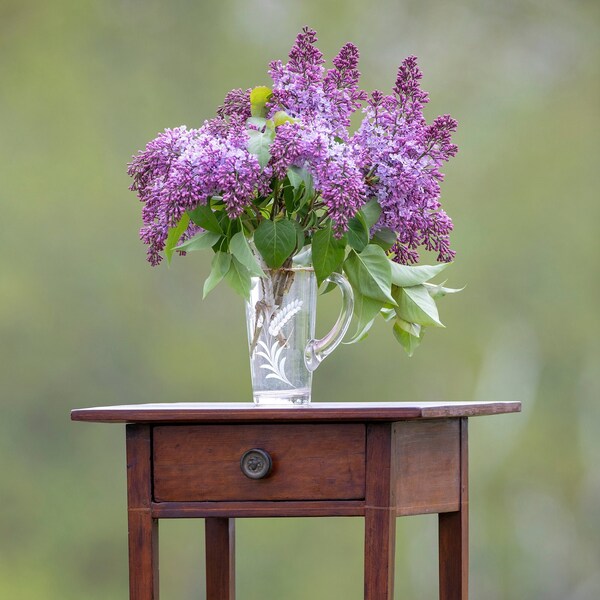 Bouquet of Lilac - Etsy