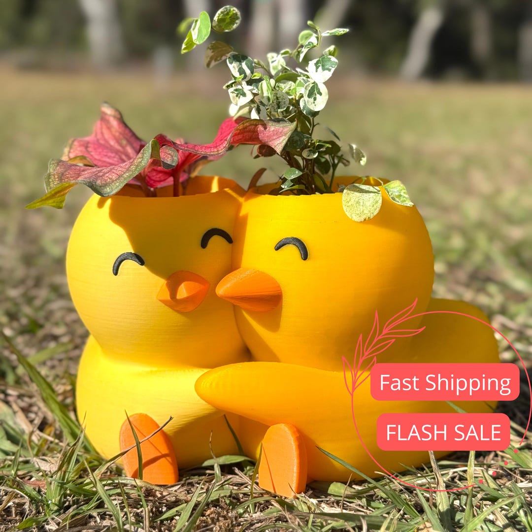 Duckie and Duck Indoor Planter Pots | 3D Printed Plant Pot | Key Holder ...