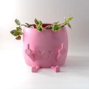 Heart Eyes Smiling Middle Finger Planter With Drainage Hole | 3D ...