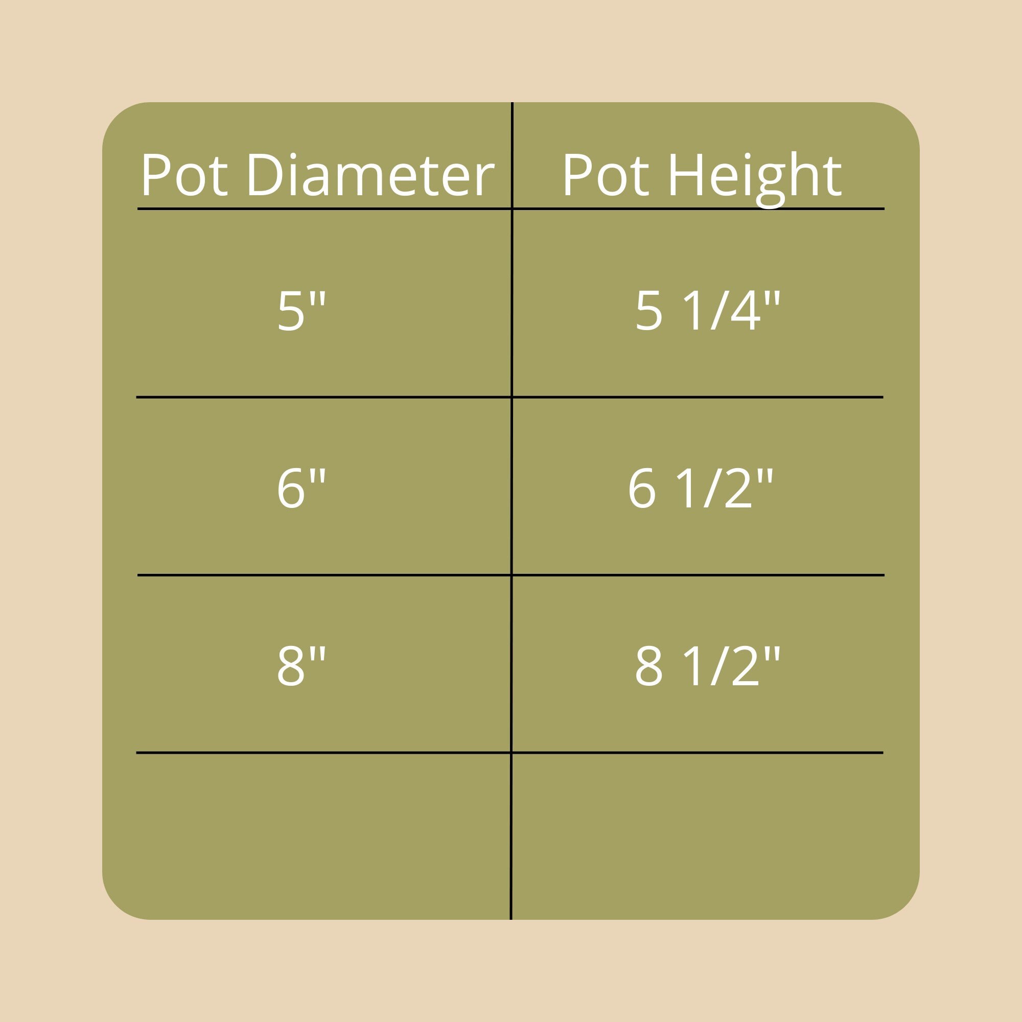 Vertical Indoor Ceramic Plant Pot Set Planter With Saucer - Etsy