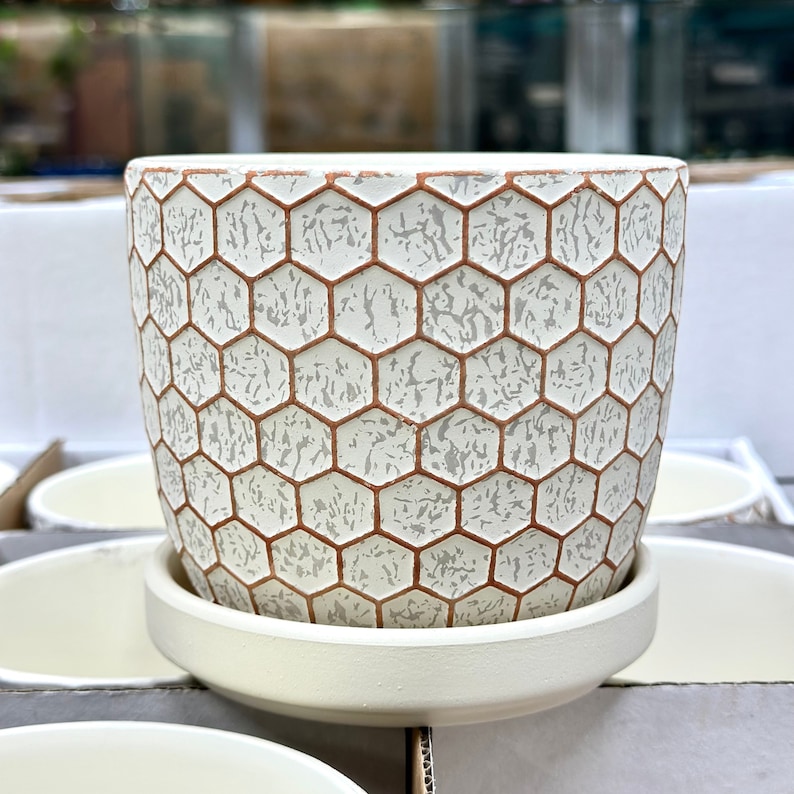 Honeycomb Planter Pots With Drainage Set | Glazed Planters and Pots ...