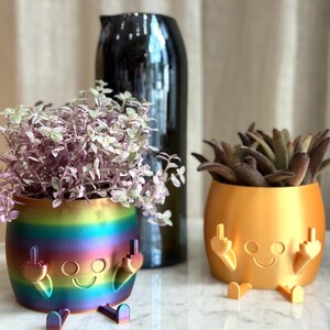 Smiling Middle Finger Planter With Drainage | Plant Pot With Drainage ...