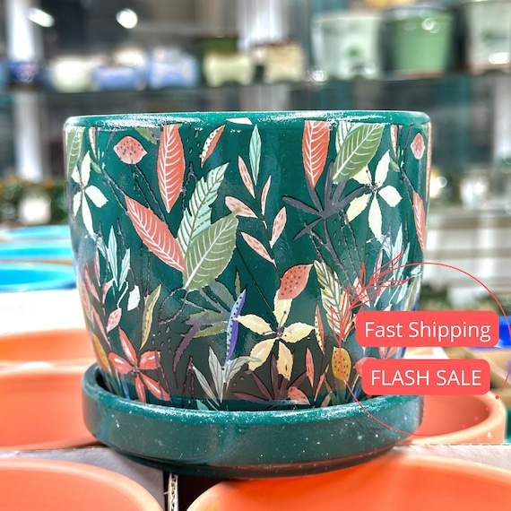 Ceramic flower pots store