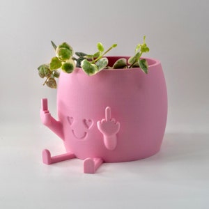 Heart Eyes Smiling Middle Finger Planter With Drainage Hole | 3D ...