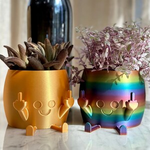 Smiling Middle Finger Planter With Drainage | Plant Pot With Drainage ...