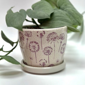 Dandelion Planter Pots With Drainage Set | Glazed Planters and Pots ...