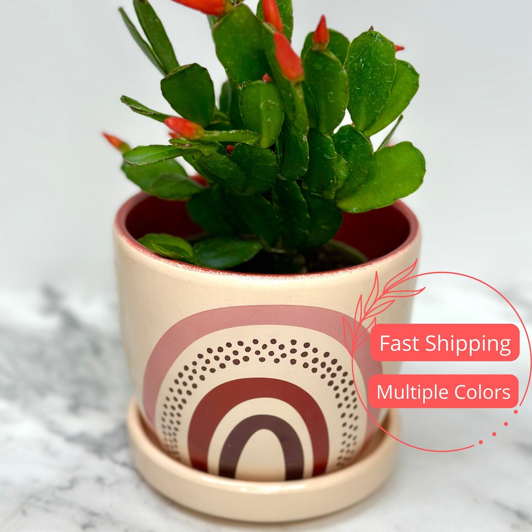 Boho Planter Pots With Drainage 4.5" | Glazed Planters and Pots Indoor ...