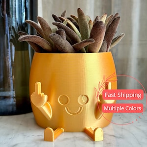 Smiling Middle Finger Planter With Drainage | Plant Pot With Drainage ...