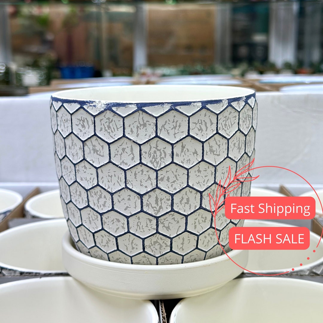 Honeycomb Planter Pots With Drainage Set | Glazed Planters and Pots Indoor | Planter With Saucer ...