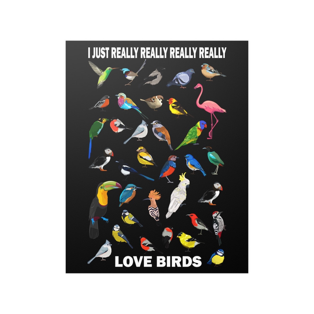Bird Lovers Poster Colorful Bird Breeds I Just Really Really Love Birds ...