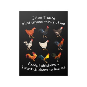 Chicken Lovers Poster Funny Sayings I Want Chickens to Like Me Chicken ...