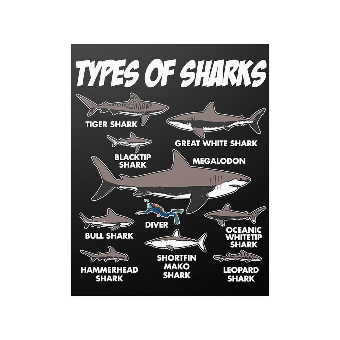 Shark Lovers Poster Types of Sharks Marine Animal Ocean Educational ...