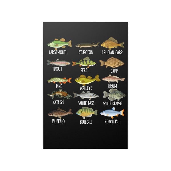 Fish Species - Etsy