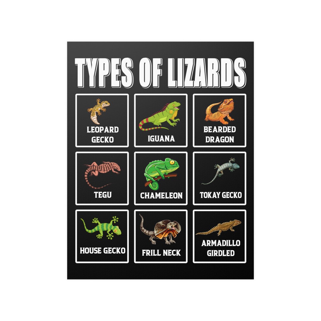 Lizard Lovers Poster Funny Types of Lizards Reptile Pet Bearded Gecko ...