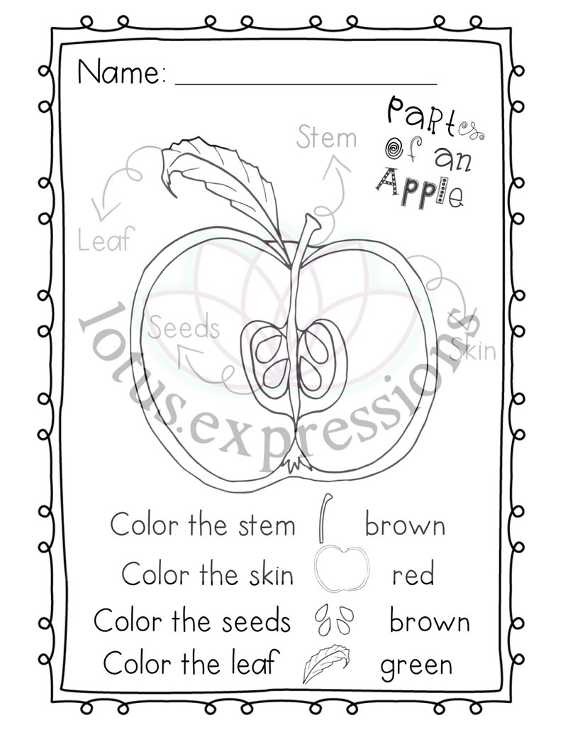 All About Apples - Preschool Apple Activity, Learn Parts of an Apple ...