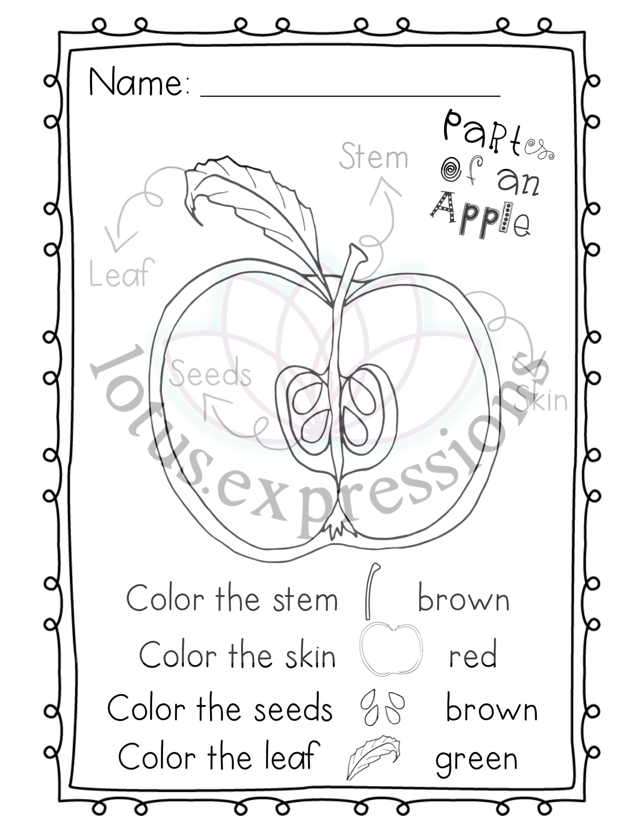 All About Apples - Preschool Apple Activity, Learn Parts of an Apple ...