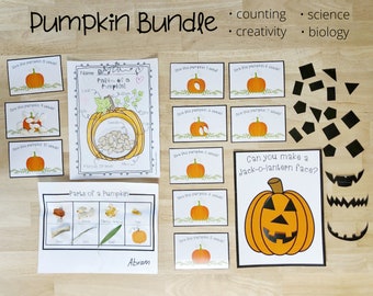 My Pumpkin Learning Pages - Etsy