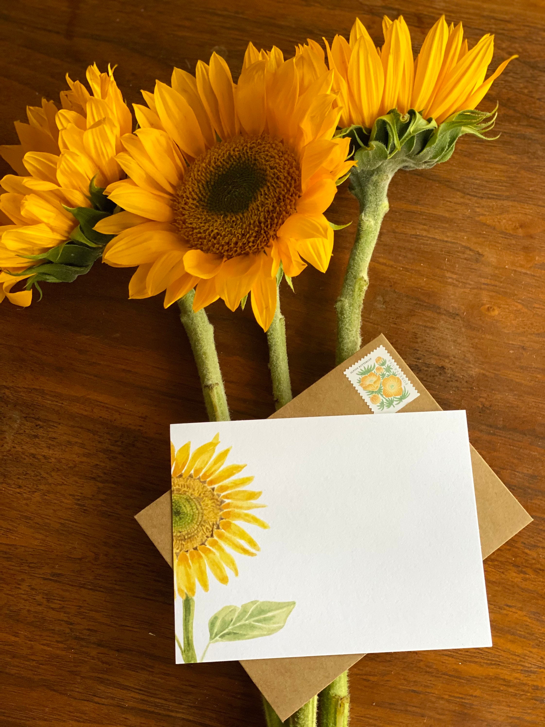 12 Flat Sunflower Notecards, Set of 12 Flat Note Cards and Envelopes ...