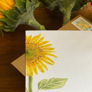 12 Flat Sunflower Notecards, Set of 12 Flat Note Cards and Envelopes ...