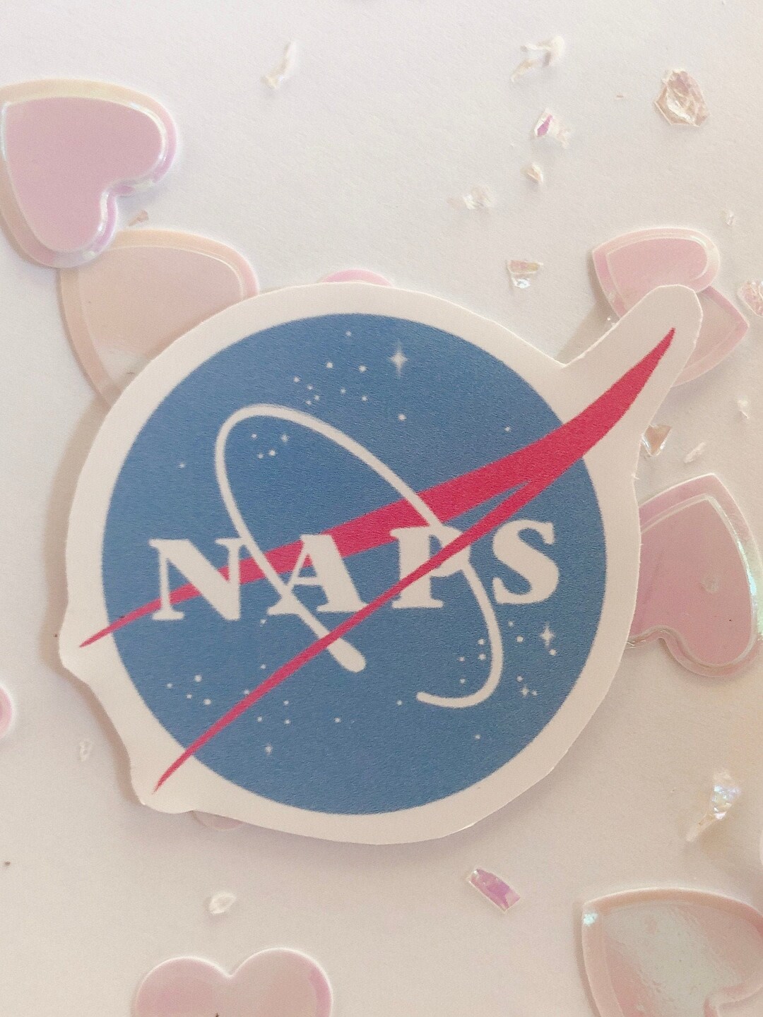 NAPS -NASA Parody Logo - Etsy