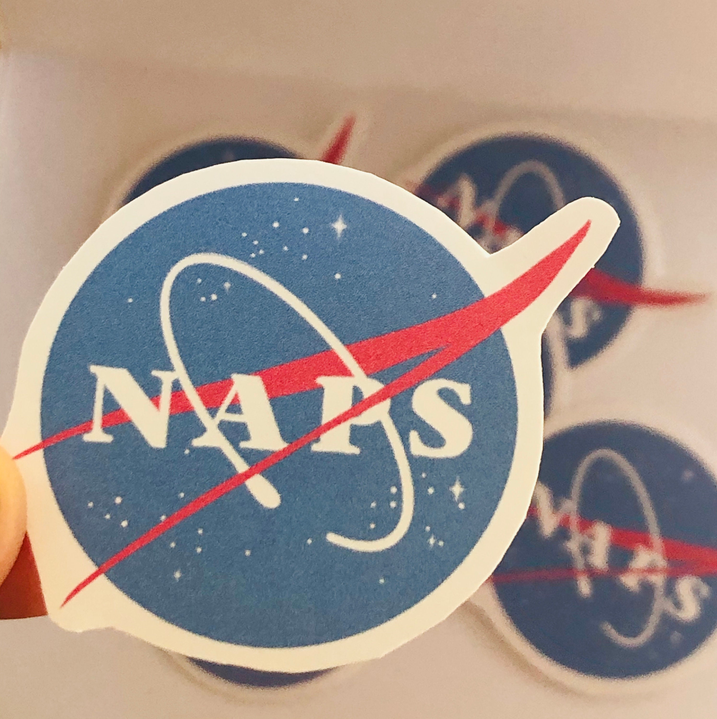 NAPS NASA Parody Logo | Etsy