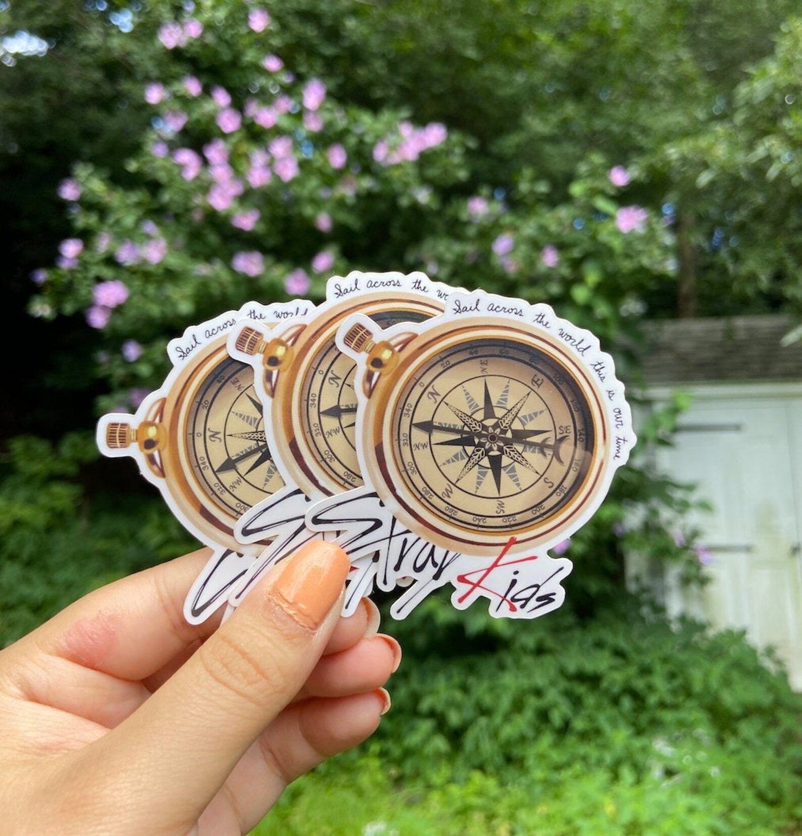 Stray Kids Logo Vinyl Sticker KPOP Sticker Stray Kids Sign | Etsy