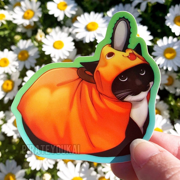 Maxwell Cat Meme - Etsy