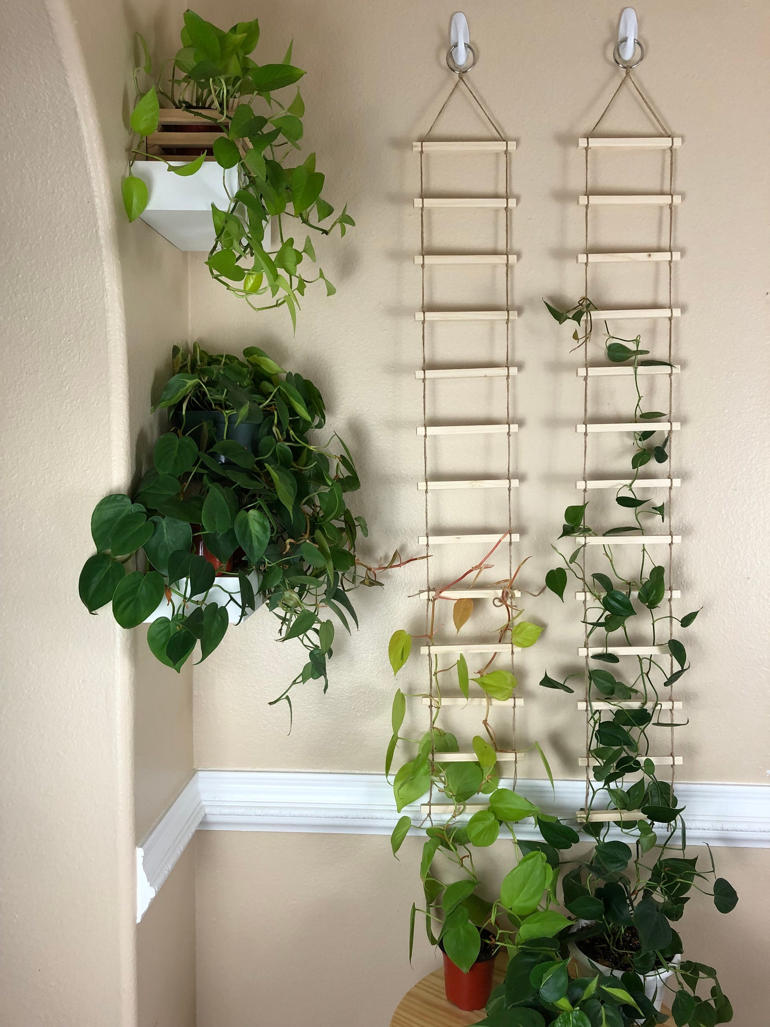Hanging Wood Trellis for Indoor Plants, Wall Ladder for Climbing Plants ...