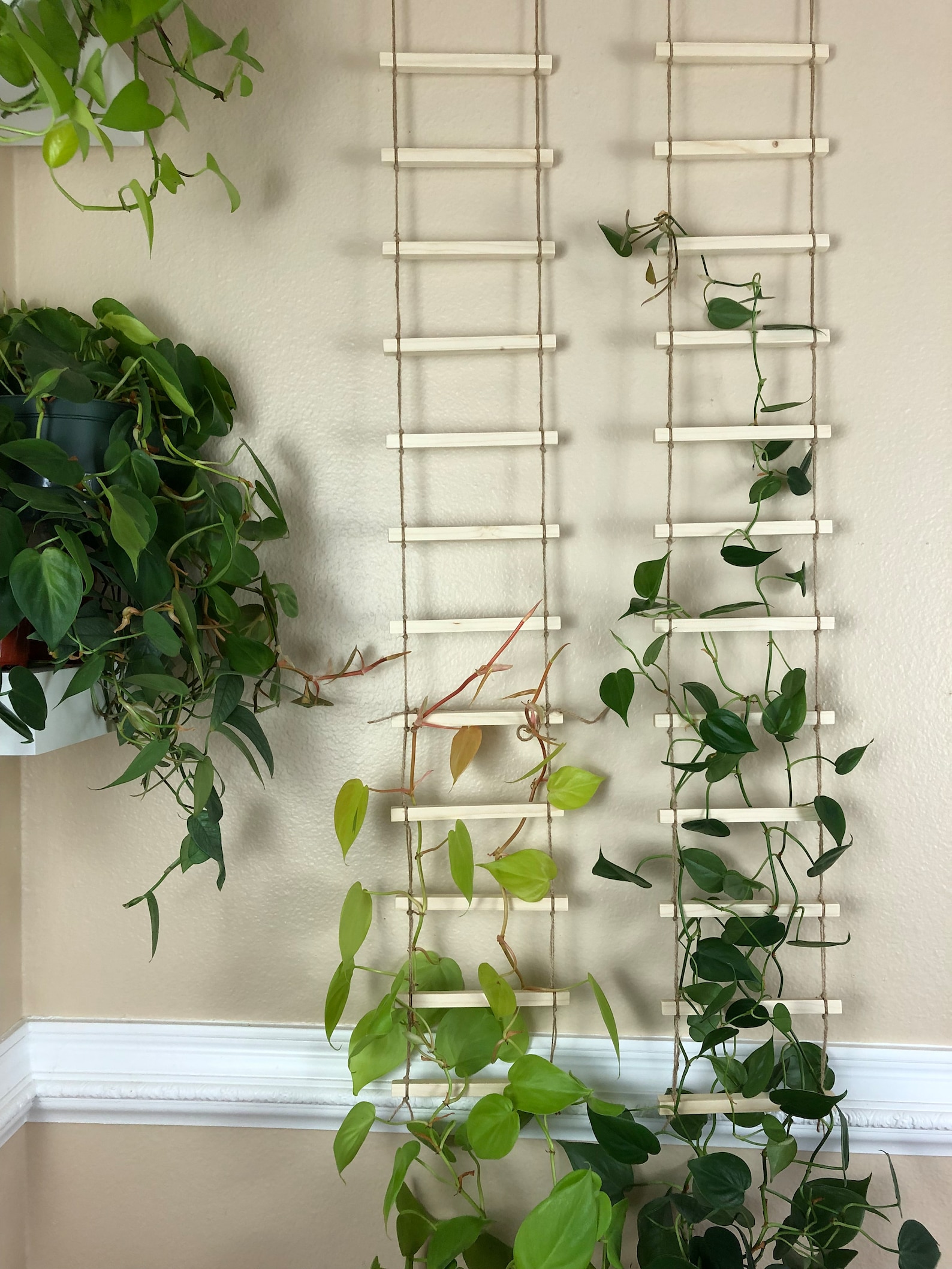 Hanging Wood Trellis for Indoor Plants, Wall Ladder for Climbing Plants ...