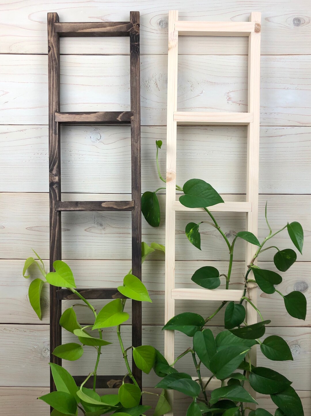 Custom Color Wood Trellis for Indoor Plants, Ladder for Climbing Plants ...