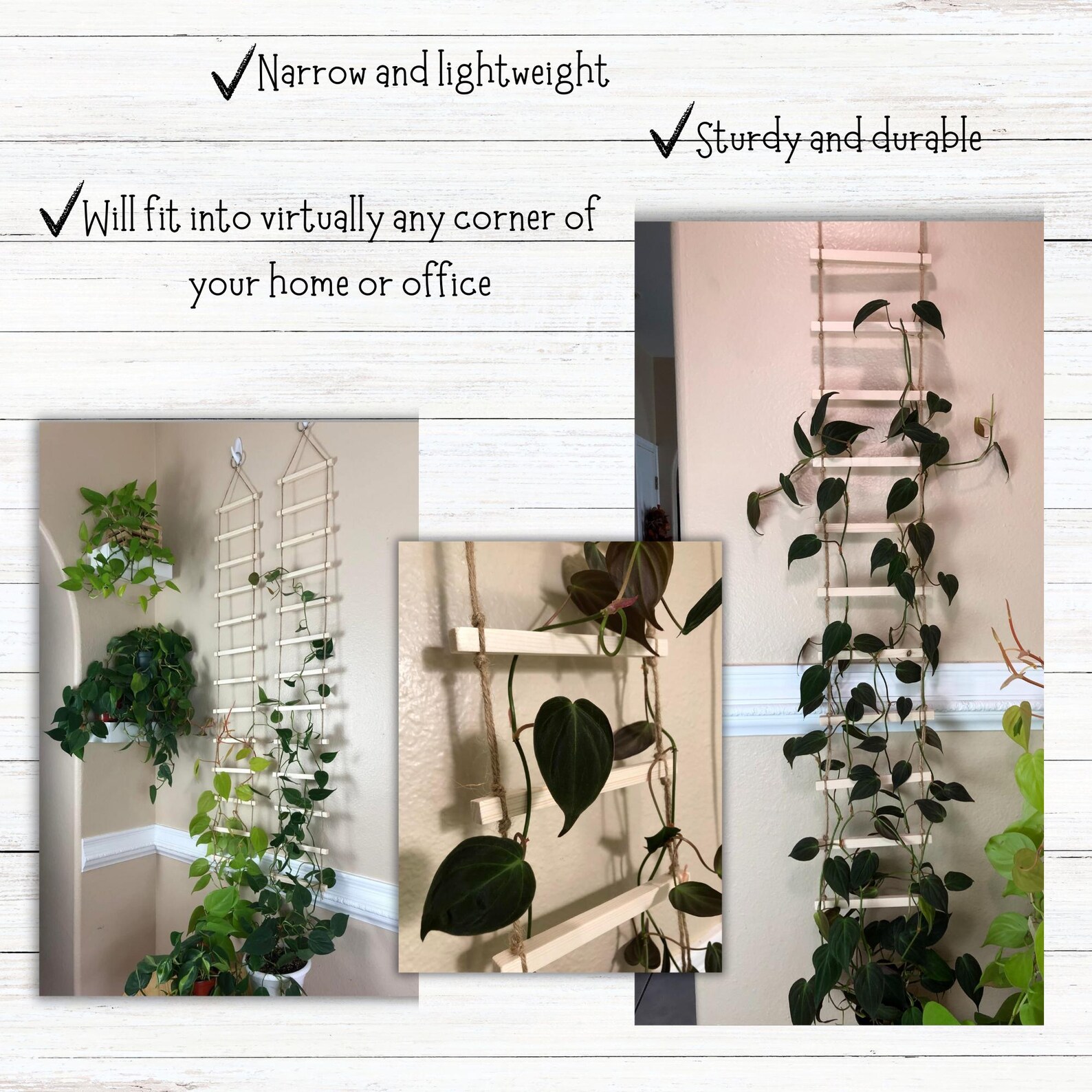 Hanging Wood Trellis for Indoor Plants, Wall Ladder for Climbing Plants ...