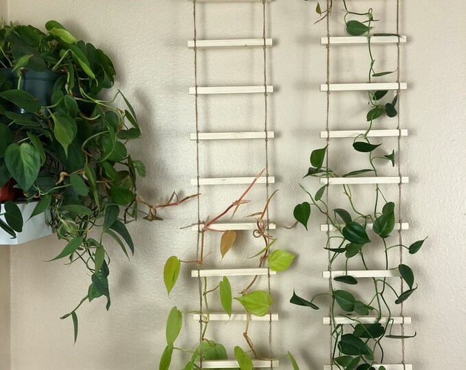 Hanging Wood Trellis for Indoor Plants, Wall Ladder for Climbing Plants ...