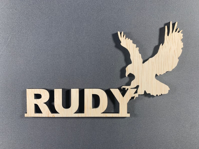 Hawk Wall Name Sign Door Sign Patriot Sign - Etsy