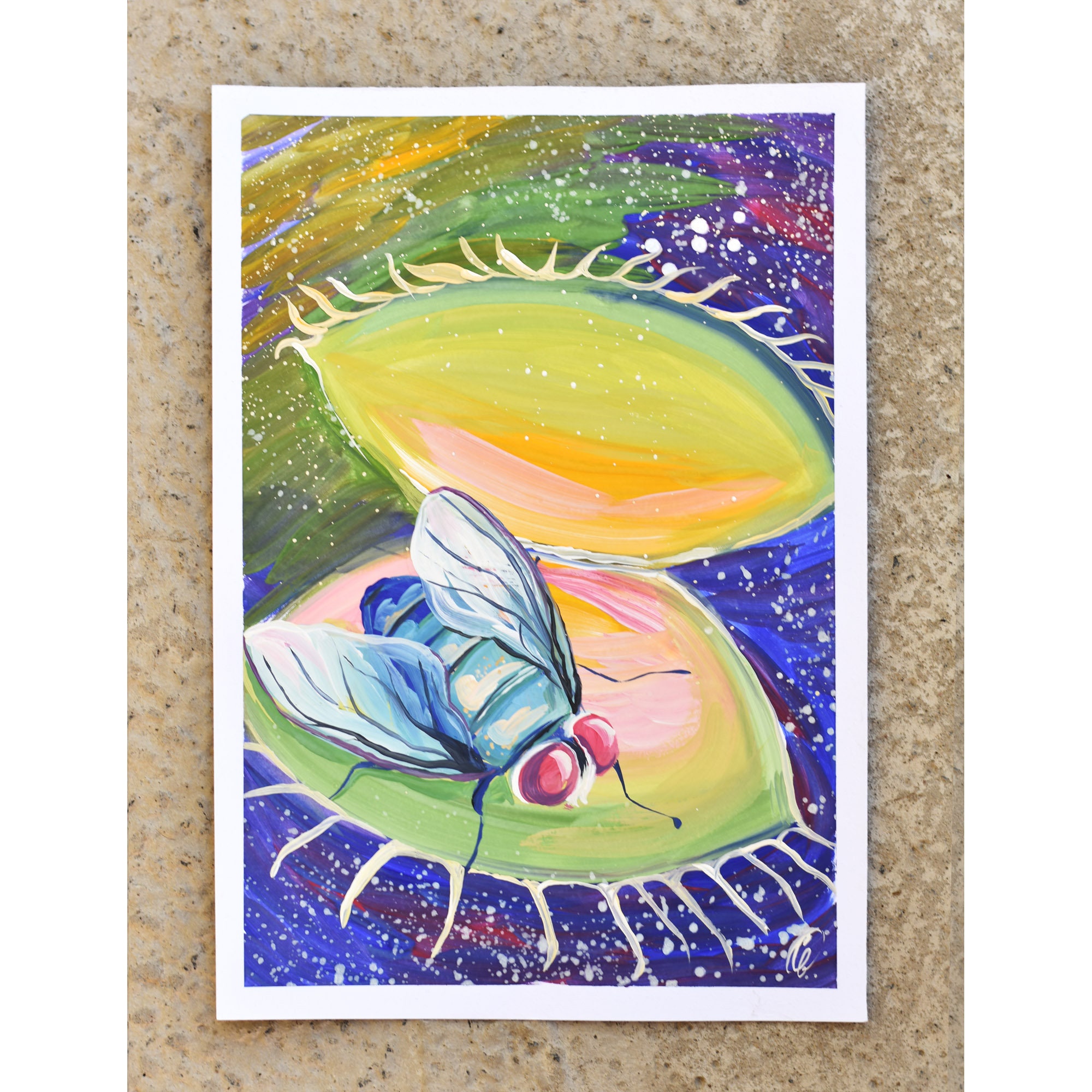Blow Fly Painting Original Art Flytrap Painting Fly Art Work Bug Wall ...