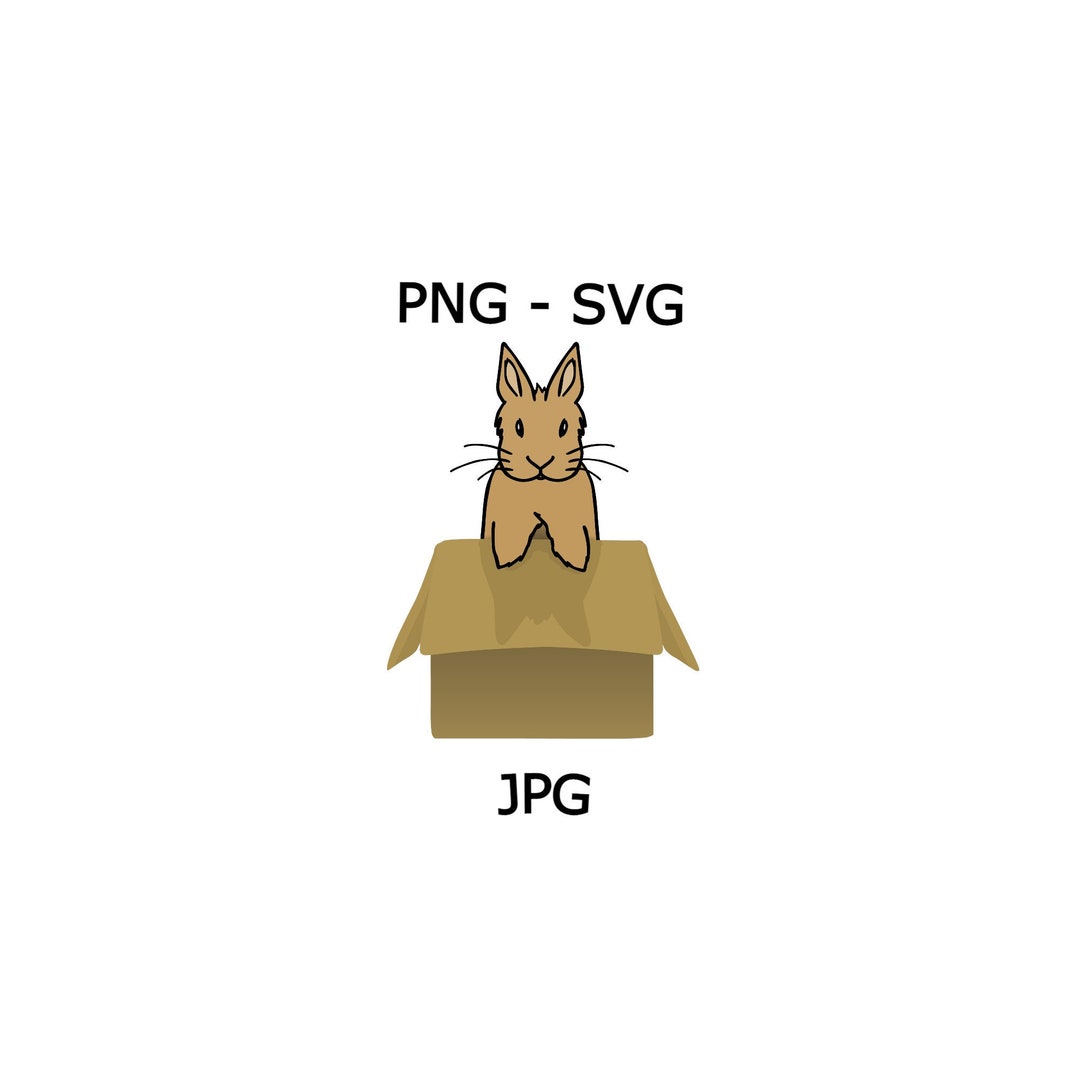 Bunny in a Box SVG Rabbit in a Brown Box JPG PNG Clipart Bunny Rabbit ...