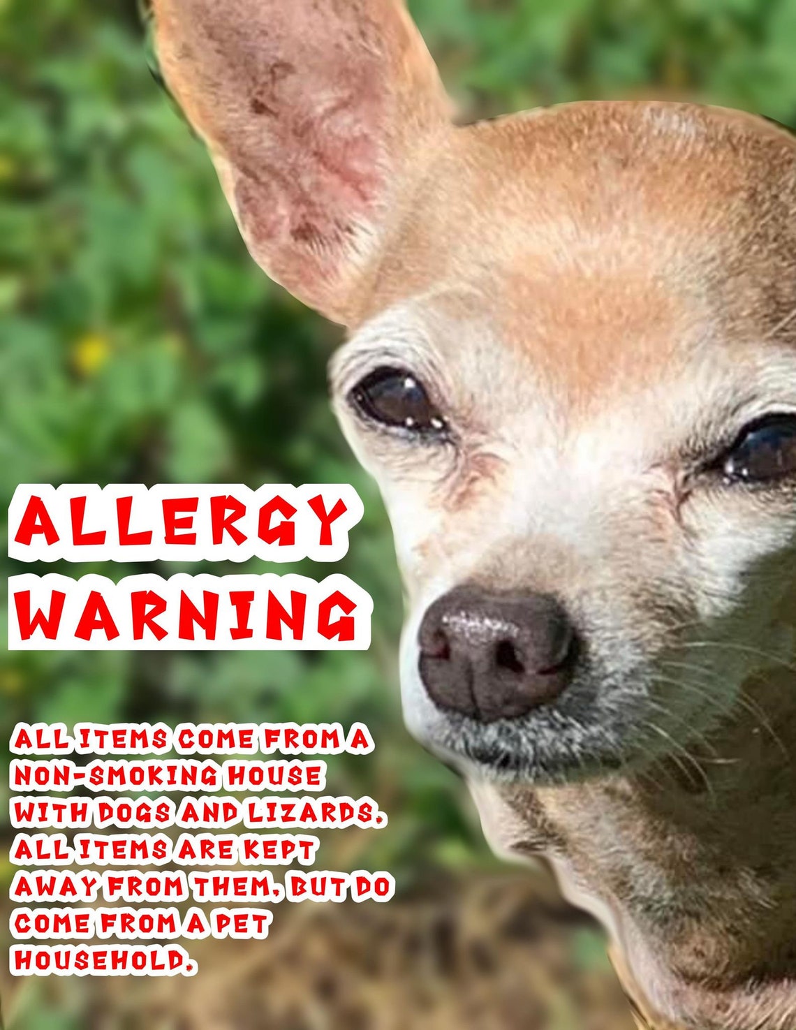 Magical Death Spit Glory Wings of Fire 2.5 Keychain - Etsy Canada