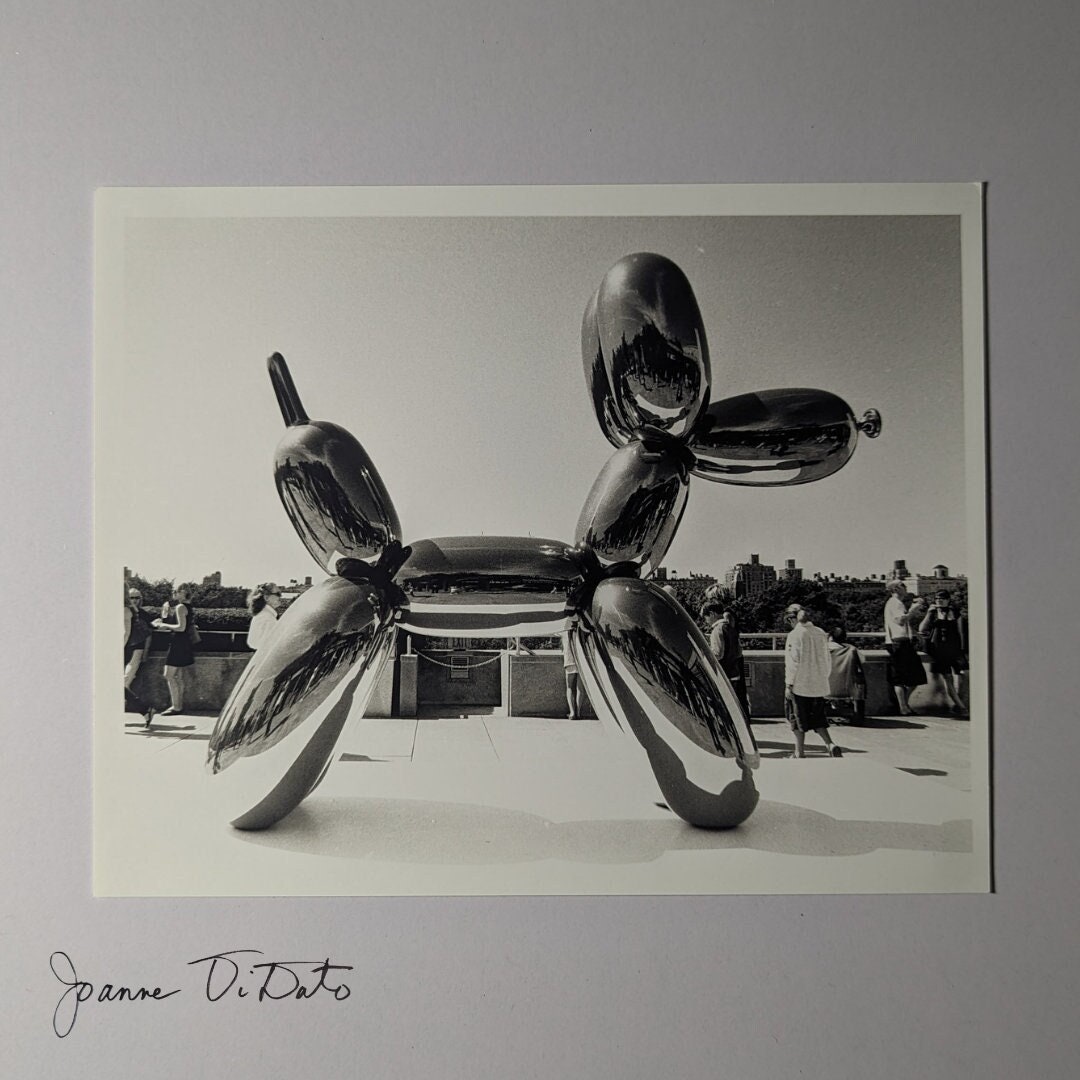 Jeff Koons' Balloon Dog 10"x8" Gelatin Silver Print by Joanne Didato - Etsy